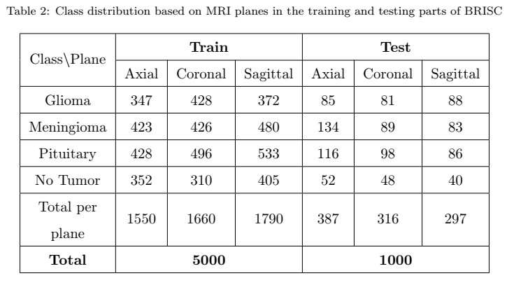 易 BRISC 2025 | Kaggle