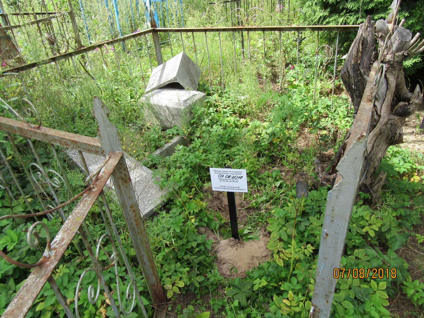 Jewish Cemetery restoration project Prudok (Belarus-Gomel). | The ...