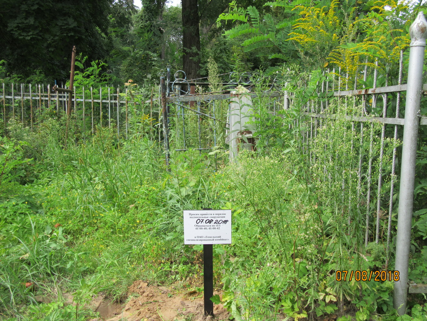 Jewish Cemetery restoration project Prudok (Belarus-Gomel). | The ...