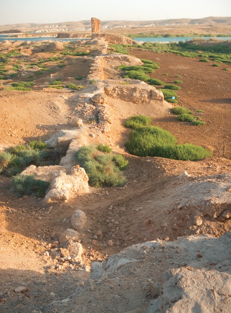 The Shrines of the Alids in Medieval Syria Sunnis pdf | OPENMAKTABA